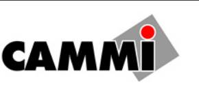 CAMMI GROUP S.P.A. - Calvisano - Edilnet.it